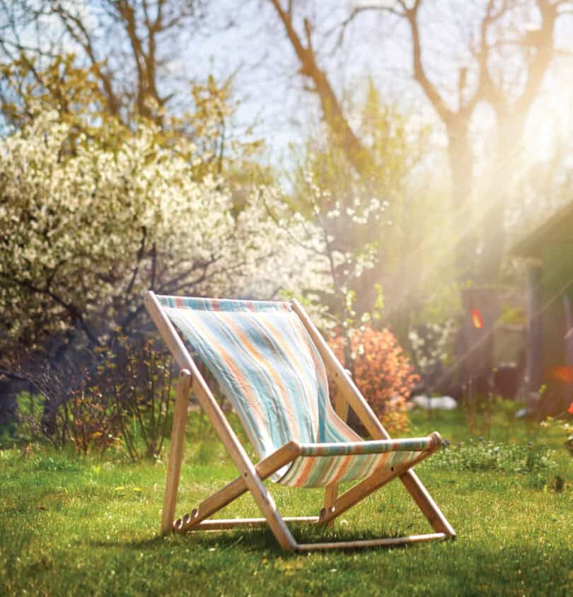 On Your March, Get Set… Spring is Coming – Lifestyle Magazine Online