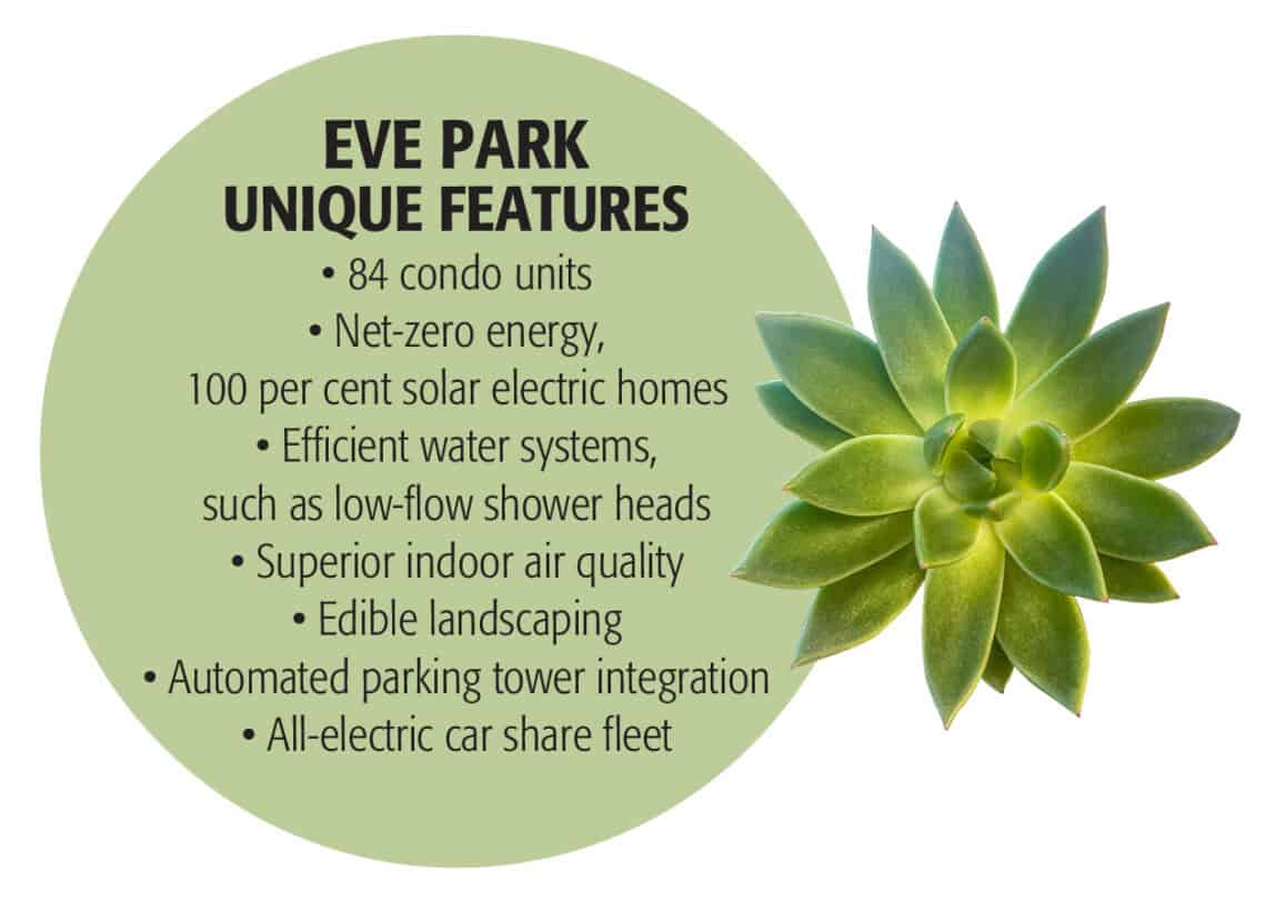 Tomorrow Has Arrived at Eve Park – Lifestyle Magazine Online
